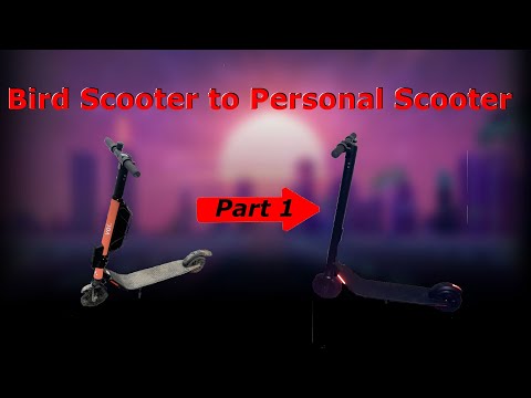 Bird Scooter to Personal Scooter Tutorial [Part 1]