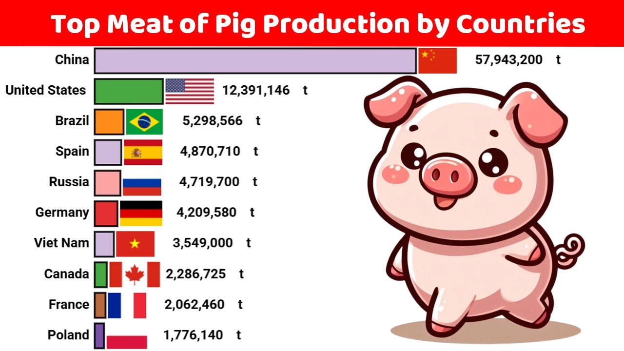 Top Meat of Pig Production by Countries - YouTube