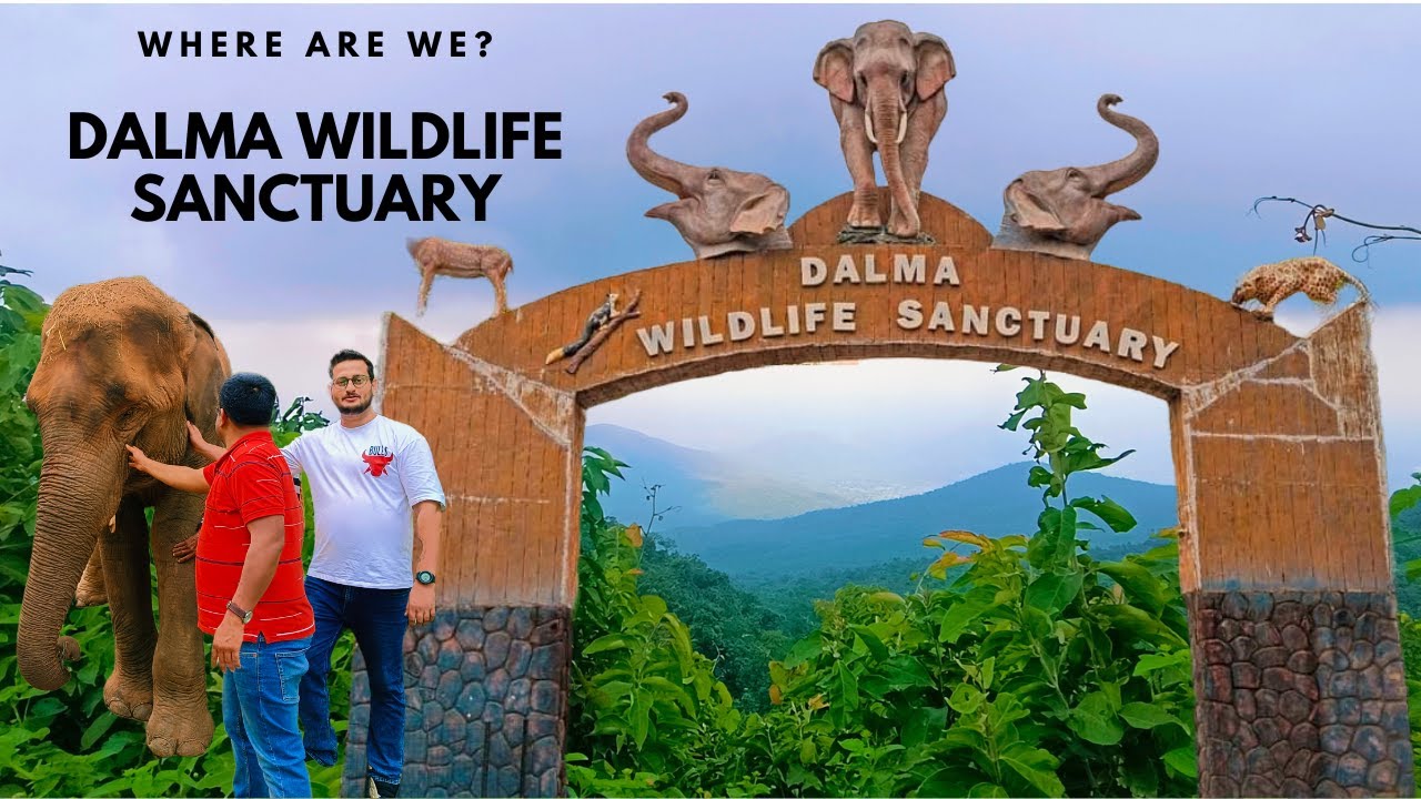 Dalma Wildlife Sanctuary | Jharkhand | Travel Vlog | Treasure of ...