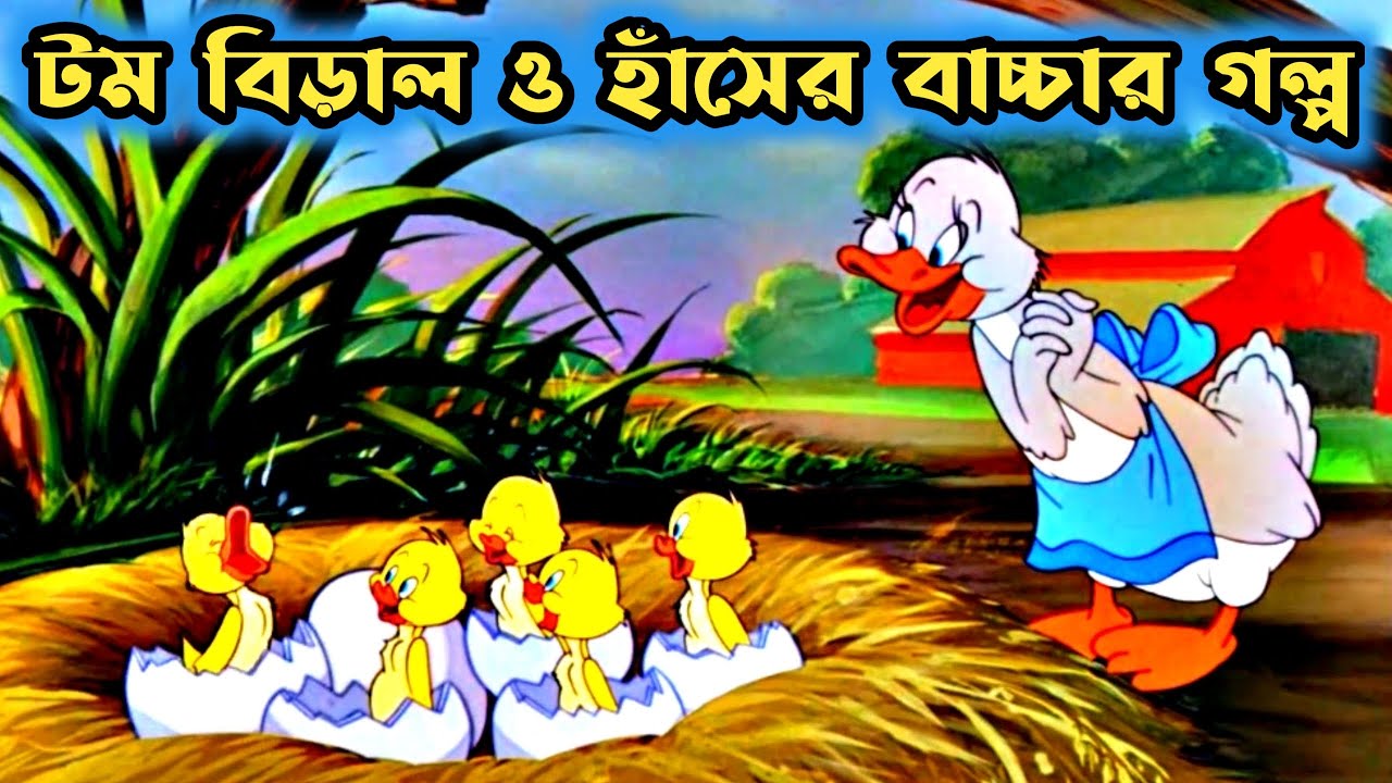 Story of a duckling | Tom and Jerry Animation - YouTube