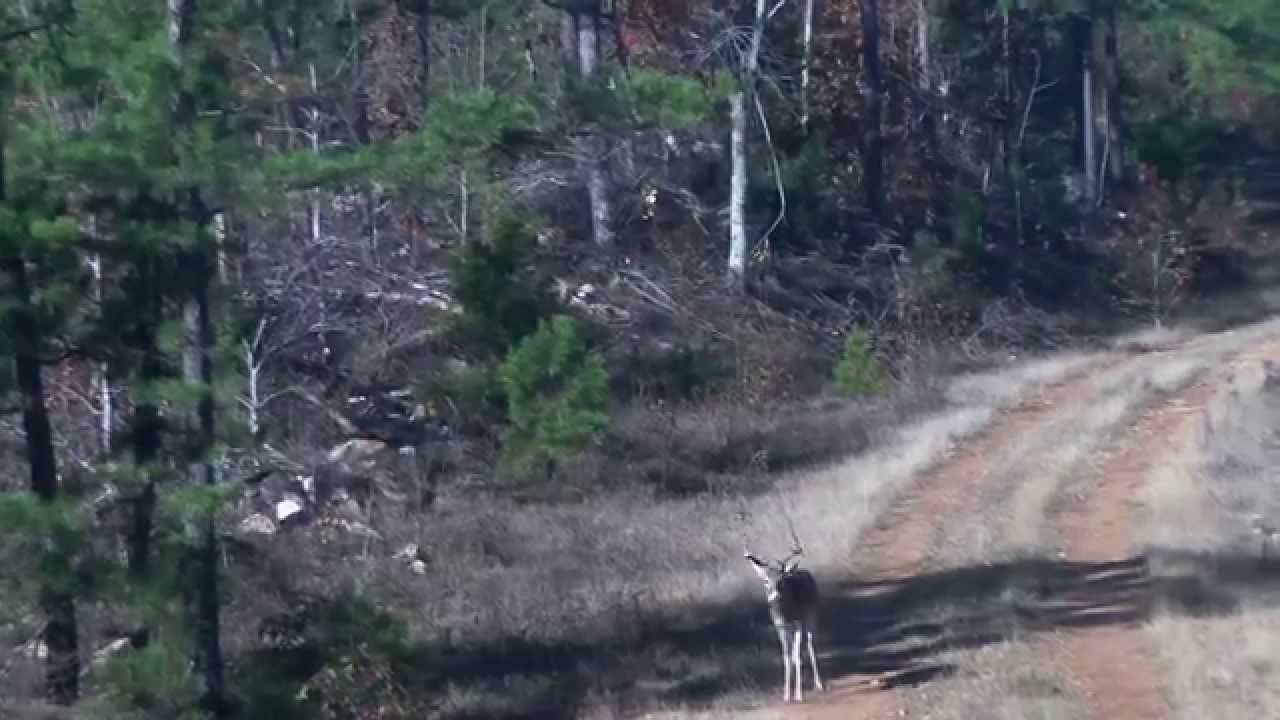 Three Rivers WMA - YouTube