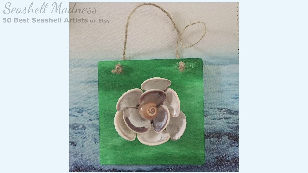 50 Best Seashell Artists on Etsy [Summer 2020] - YouTube