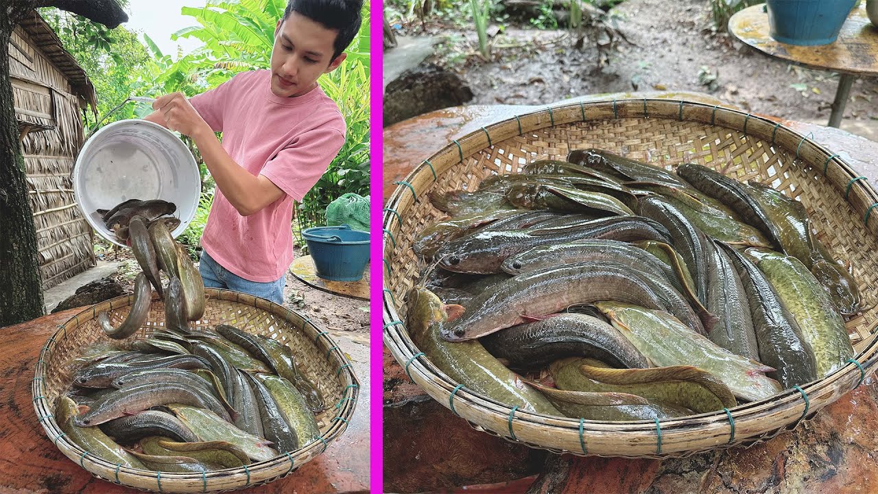 Country Man cook fresh fish from the river with country style - Enjoy ...