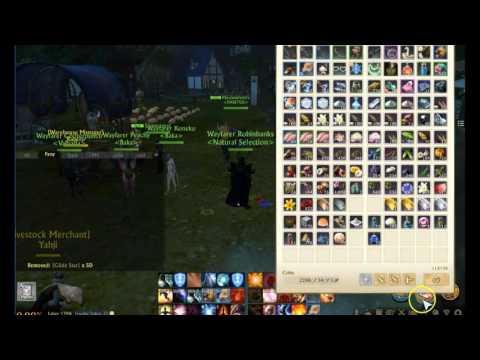 Archeage unlock the daily merit badge quest for easy gold - YouTube