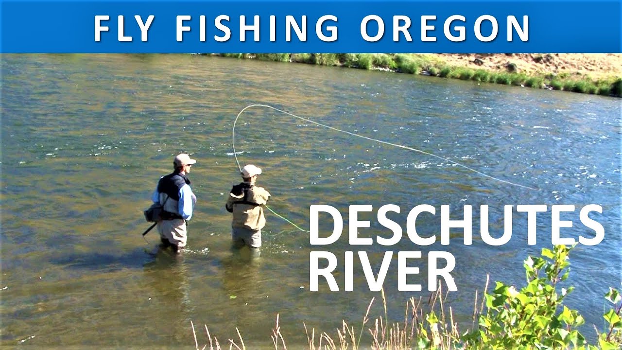 Fly Fishing Oregon's Deschutes River Salmonfly Hatch [Series Episode ...