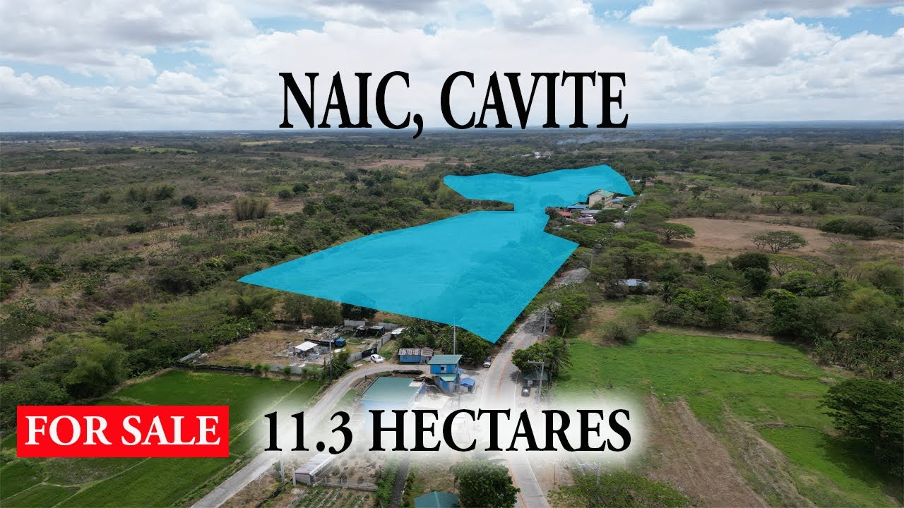 11.3 Hectares Lot For Sale in NAIC CAVITE NEAR THE SUPER BRIDGE ️ FARM ...