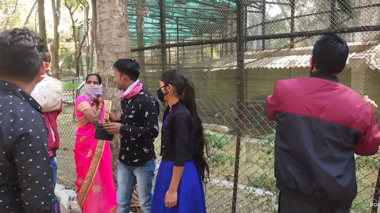 Kanan Pendari Zoo Bilaspur Chhattisgarh - YouTube