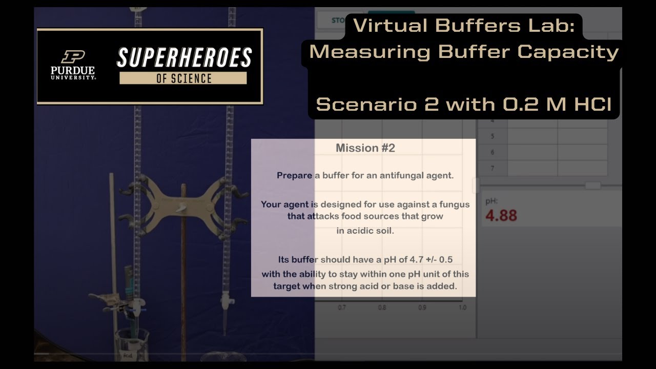Virtual Buffers Lab: Measuring Buffer Capacity (Mission #2 with 0.2 M ...