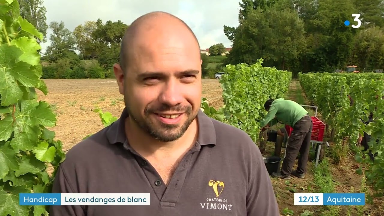 Vendanges a Bordeaux par les travailleurs des ESAT - YouTube