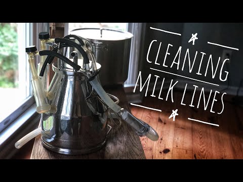 How We Clean Our Milk Lines and Equipment.