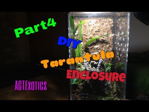 DIY Tarantula Enclosure - Hobby Lobby Display - Part4 Planting ...