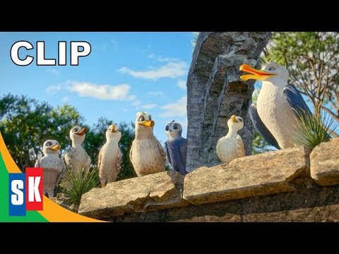 Swift - Clip: The Wind Is My Friend (HD)