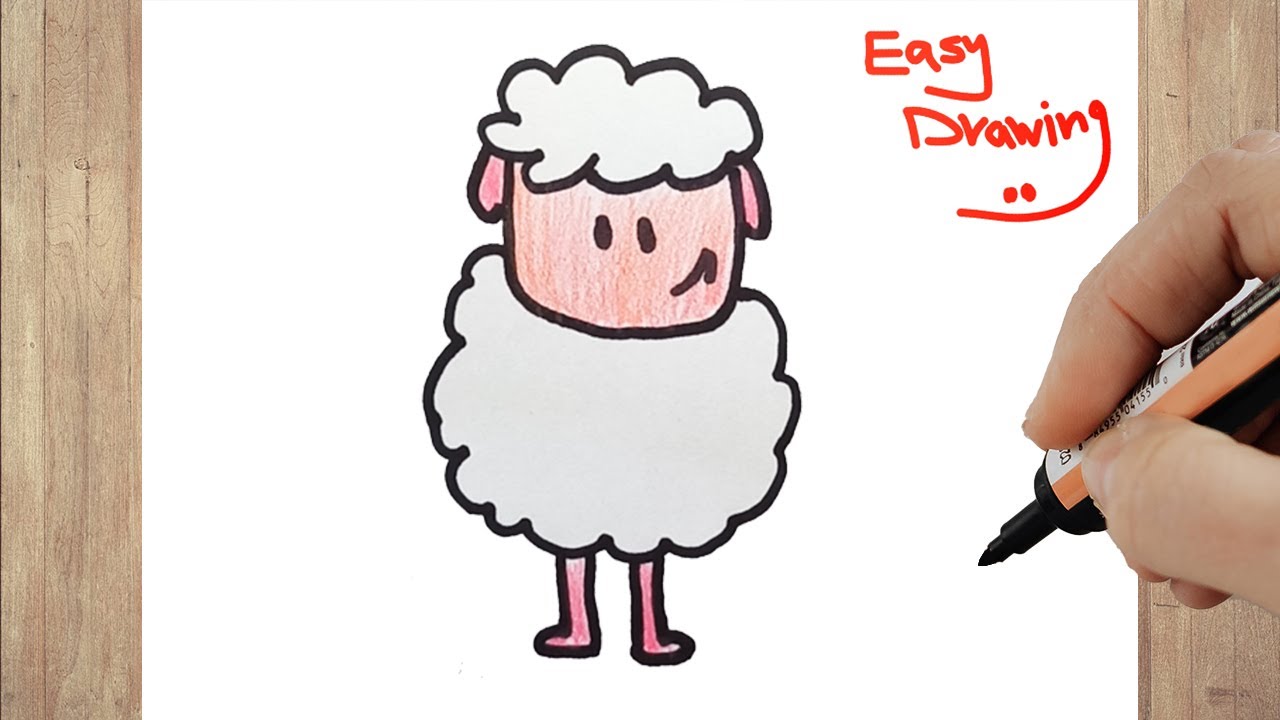 How to Draw a Cute sheep step by step | DRAWING A CUTE SHEEP EASY - YouTube
