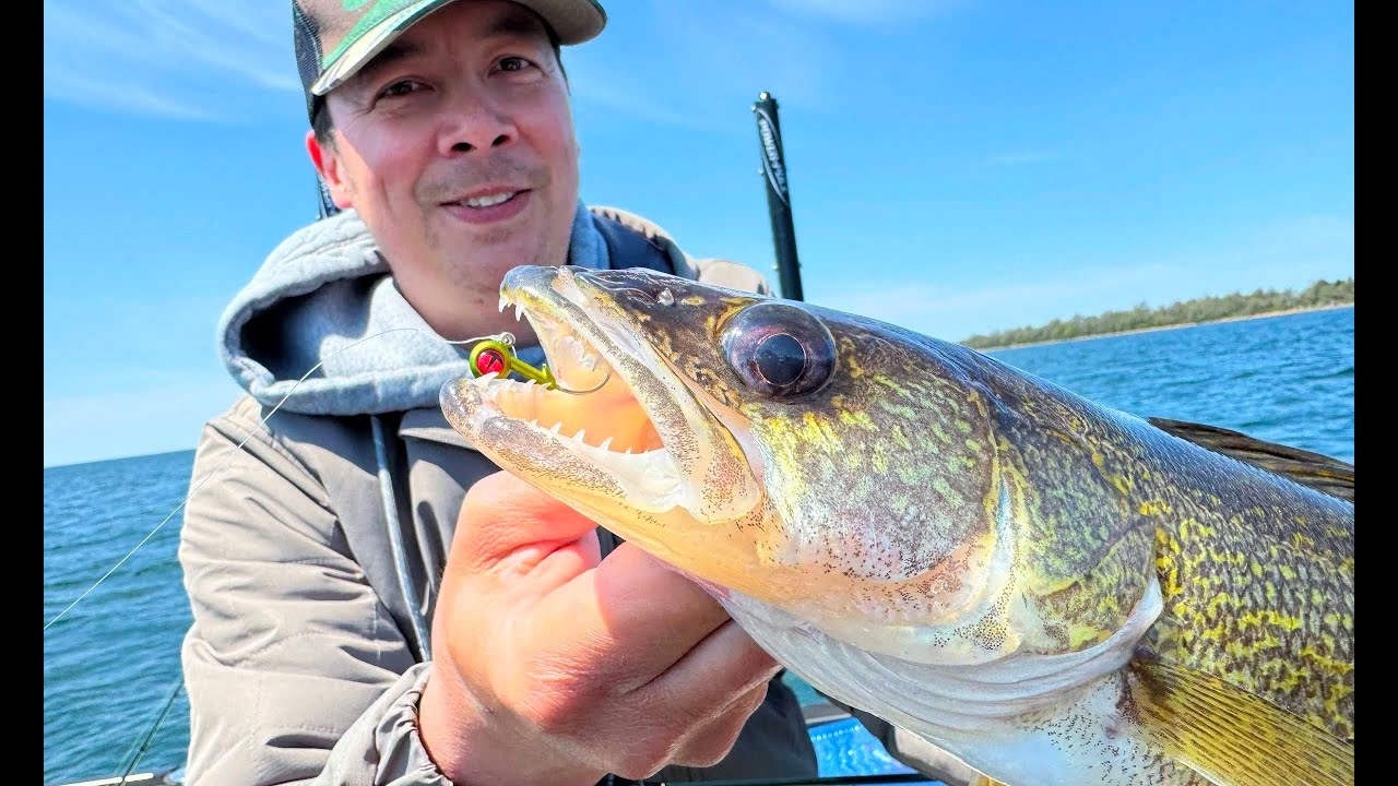 NEW Sneaky Walleye Color for Jig Fishing (ft. Tom Huynh) - YouTube