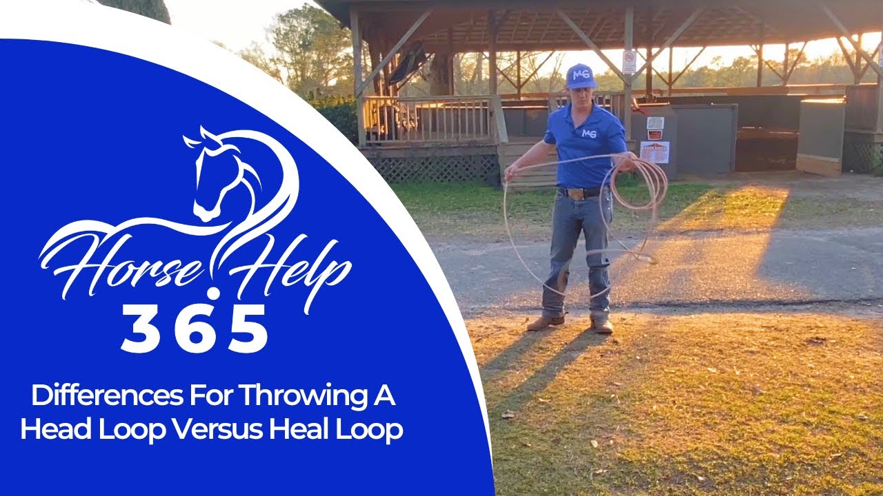 Differences For Throwing A Head Loop Versus Heal Loop | Horse Help ...