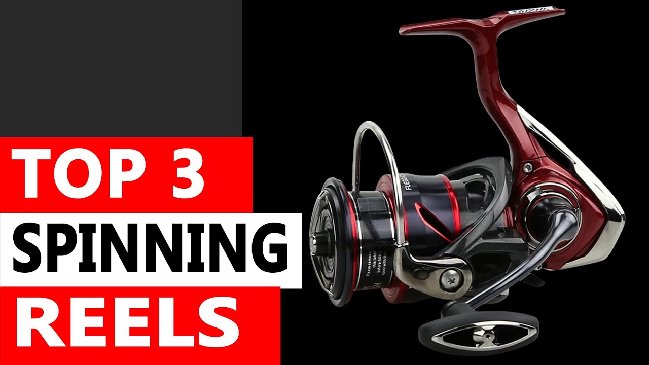 Top 3 Best Spinning Reels 2025 - YouTube