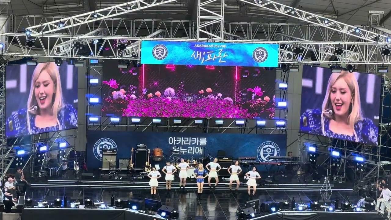 2024 YONSEI AKARAKA(연세대학교 아카라카) | JEON SOMI(전소미)-DUMB DUMB - YouTube