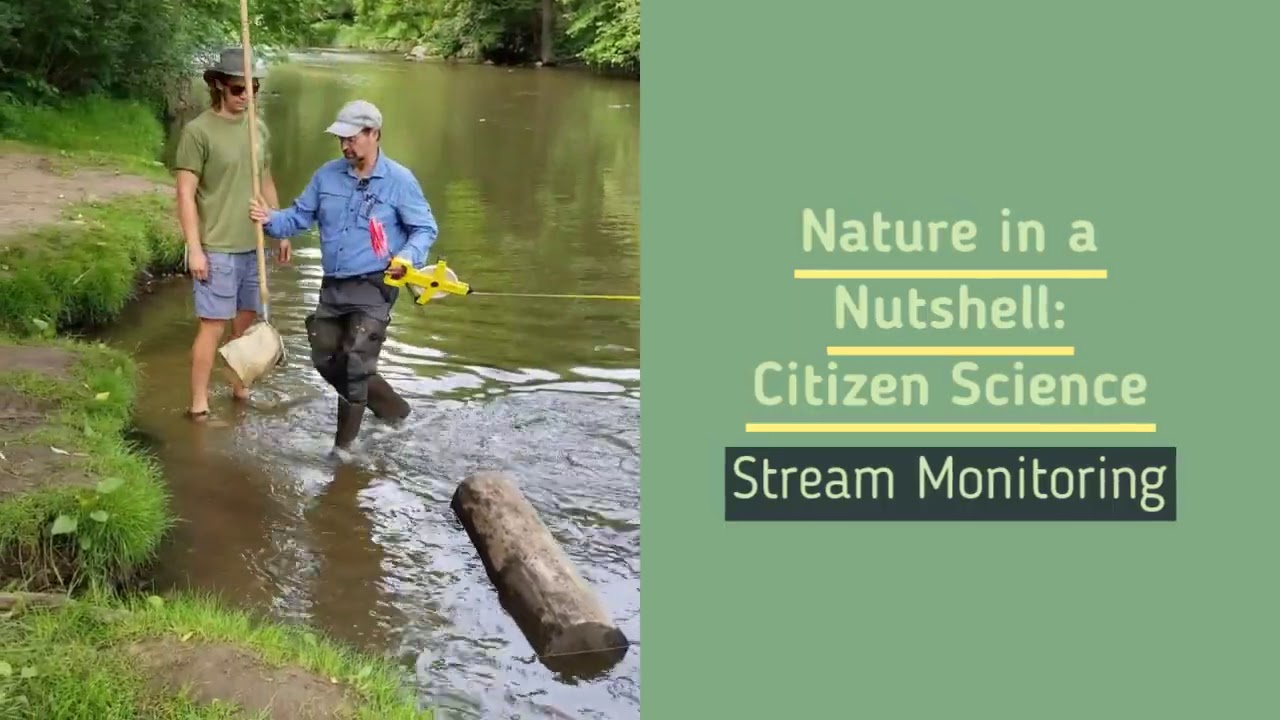 Citizen Science: Stream Monitoring - YouTube