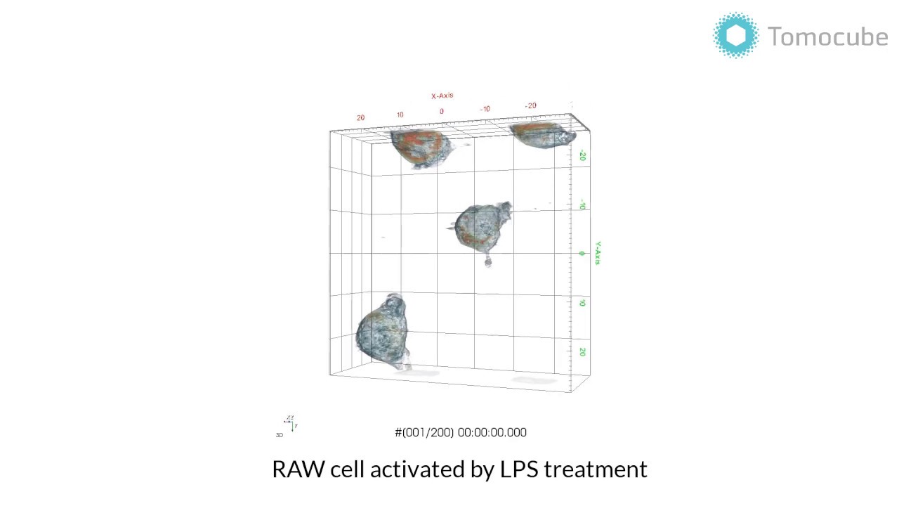 Holotomography of LPS treated live RAW cells - YouTube