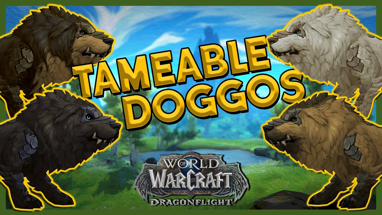 BAKAR Pets | NEW TAMEABLE DOGGOS | World of Warcraft Dragonflight - YouTube