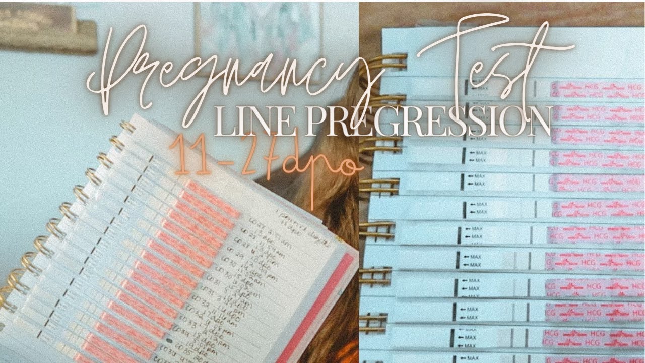 PREGNANCY TEST LINE PROGRESSION | 11-27DPO - YouTube