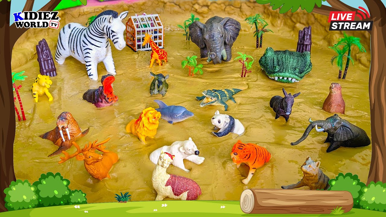Herbivores Carnivores and Omnivores Animals for Kids Fun Learning ...