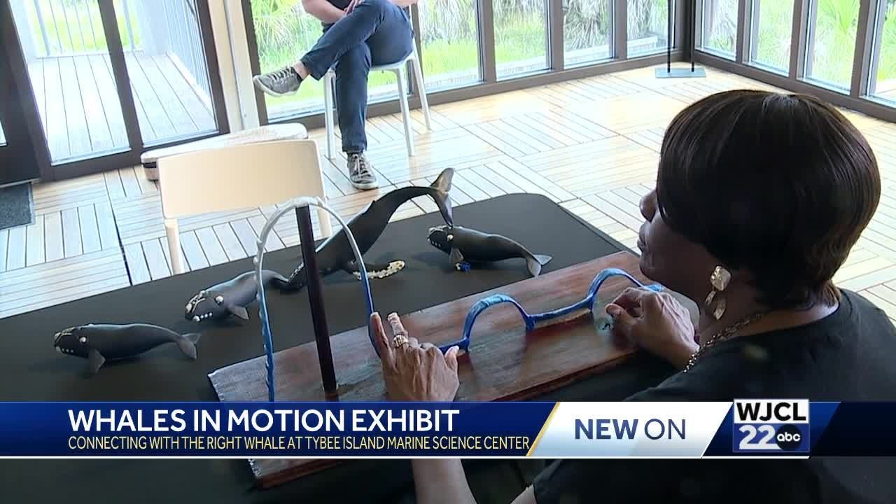 Whales in Motion program comes to Tybee Island Marine Science Center ...