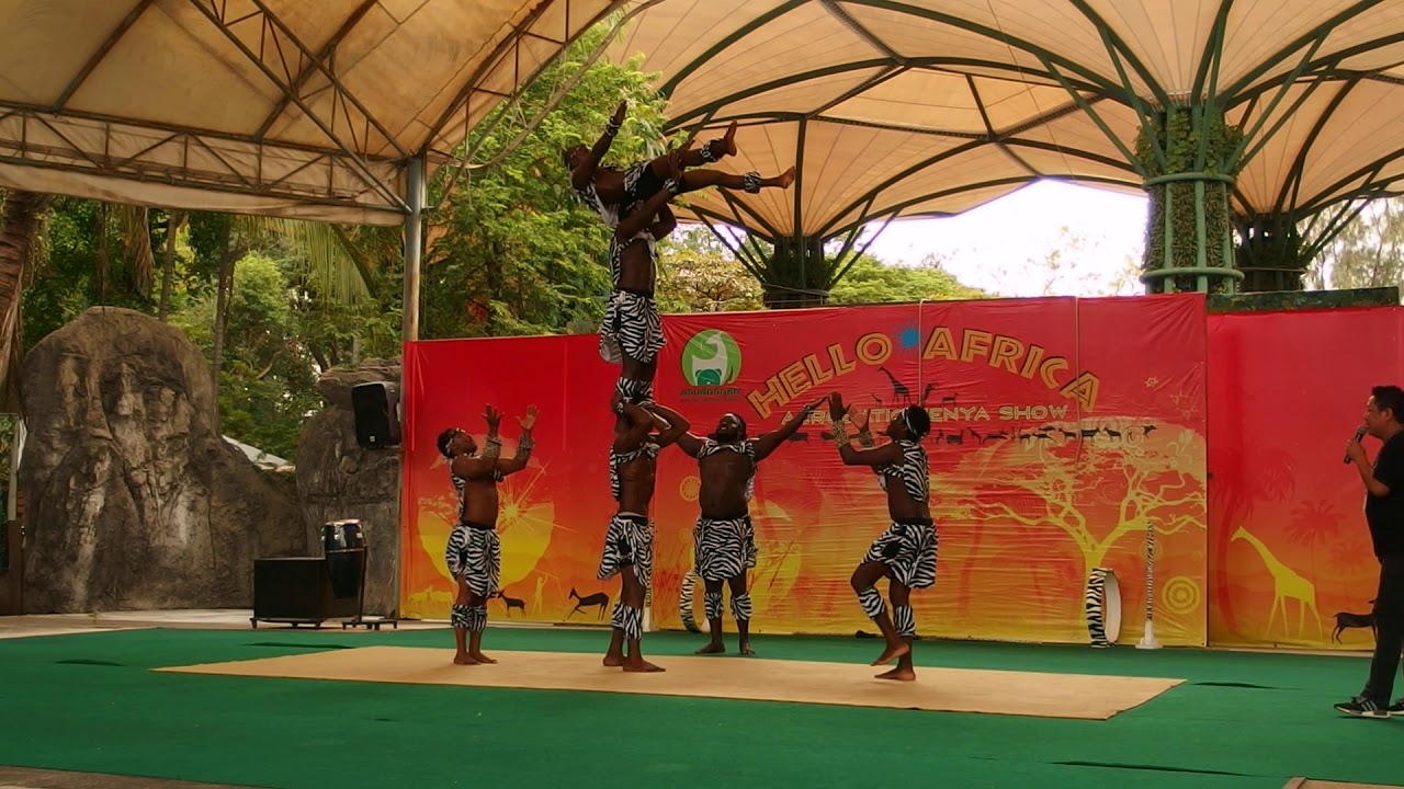 การแสดง Hello Africa Acrobatic Kenya Show จากสวนสัตว์เขาดิน - YouTube