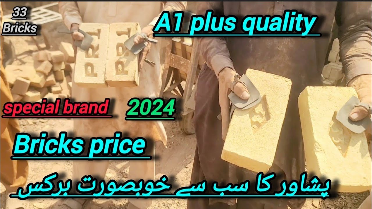 Bricks2024#bricks price 2024# 33 special bricks #PR1special bricks#5G ...