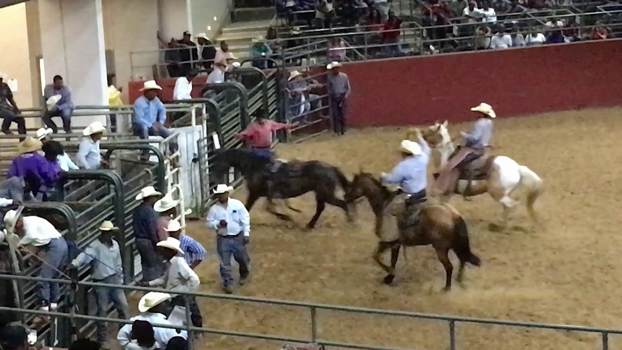 Black Rodeo, TX 2019 - YouTube