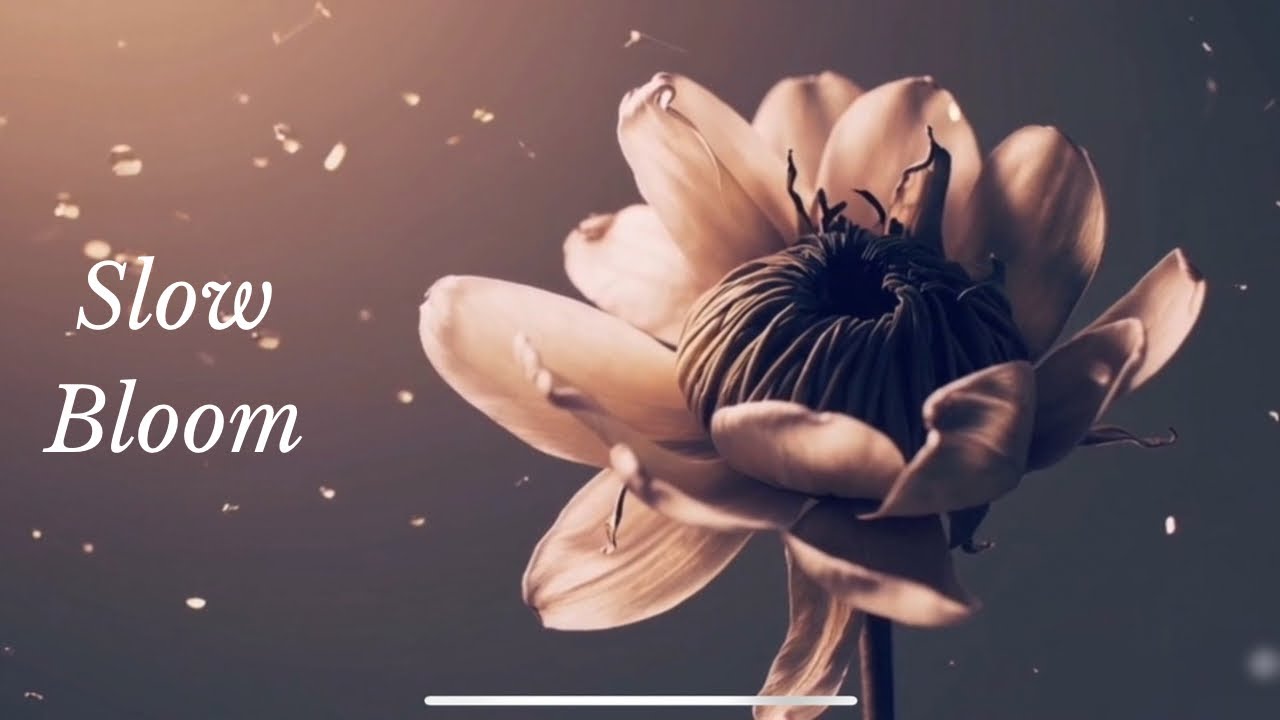 DiamondintheRough - Slow Bloom (R&B) - YouTube