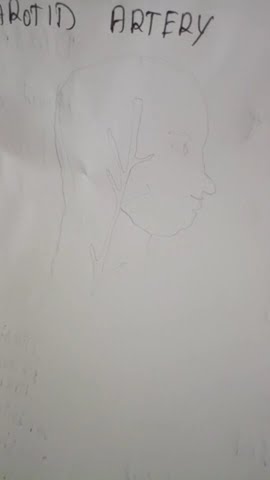 narsing student 🤗 copyright drawing😂😂 - YouTube