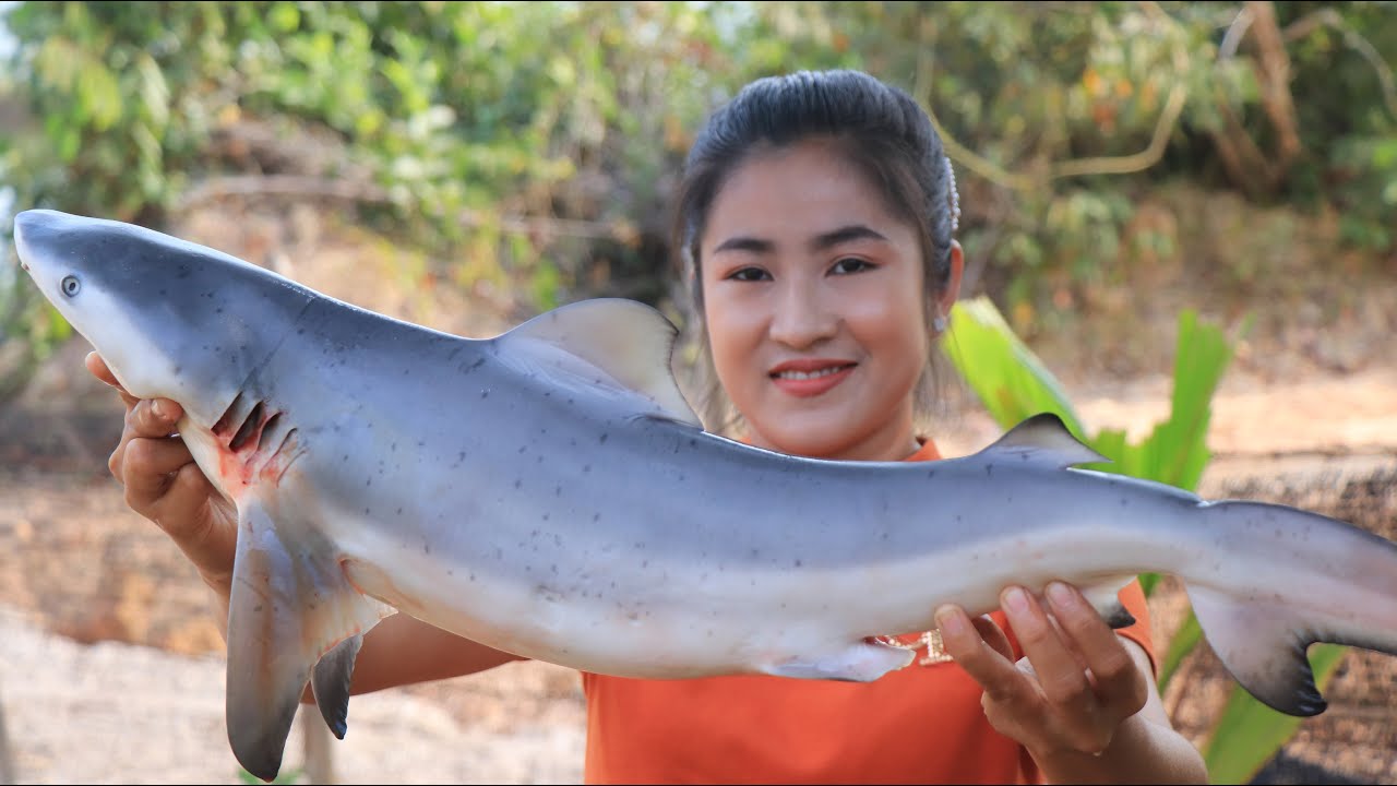 Yummy Shark Soup Recipe - Shark Cooking - Prepare By Countryside Life ...