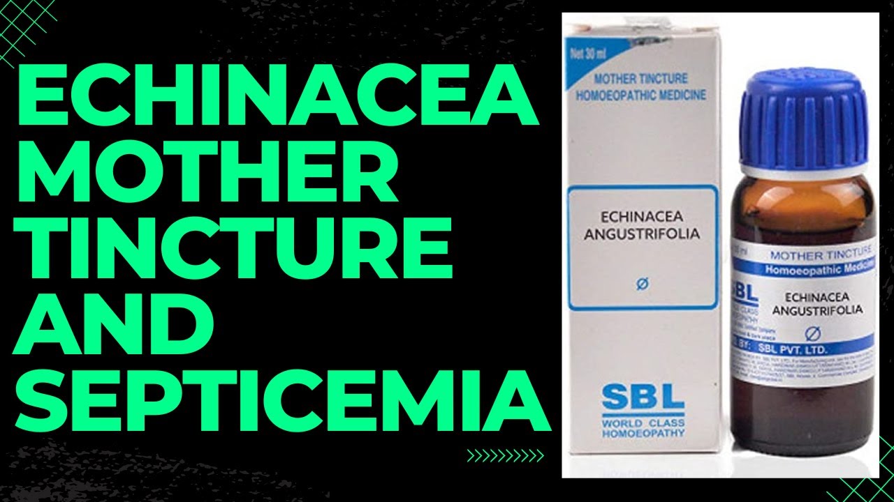 echinacea aungustrifolia Q and septicemia||uses of echinacea mother ...