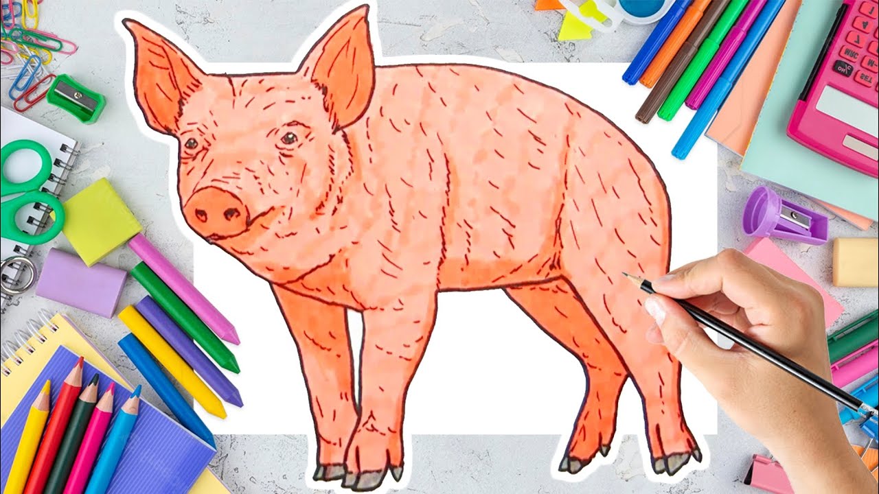 Pig Drawing and Coloring for beginners | Learn How to Draw a Pig Step ...