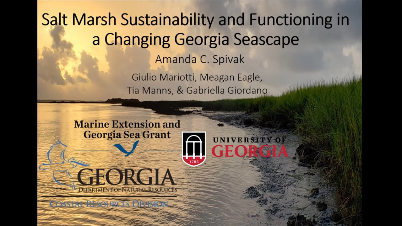Salt Marsh Sustainability and Functioning in a Changing Georgia ...