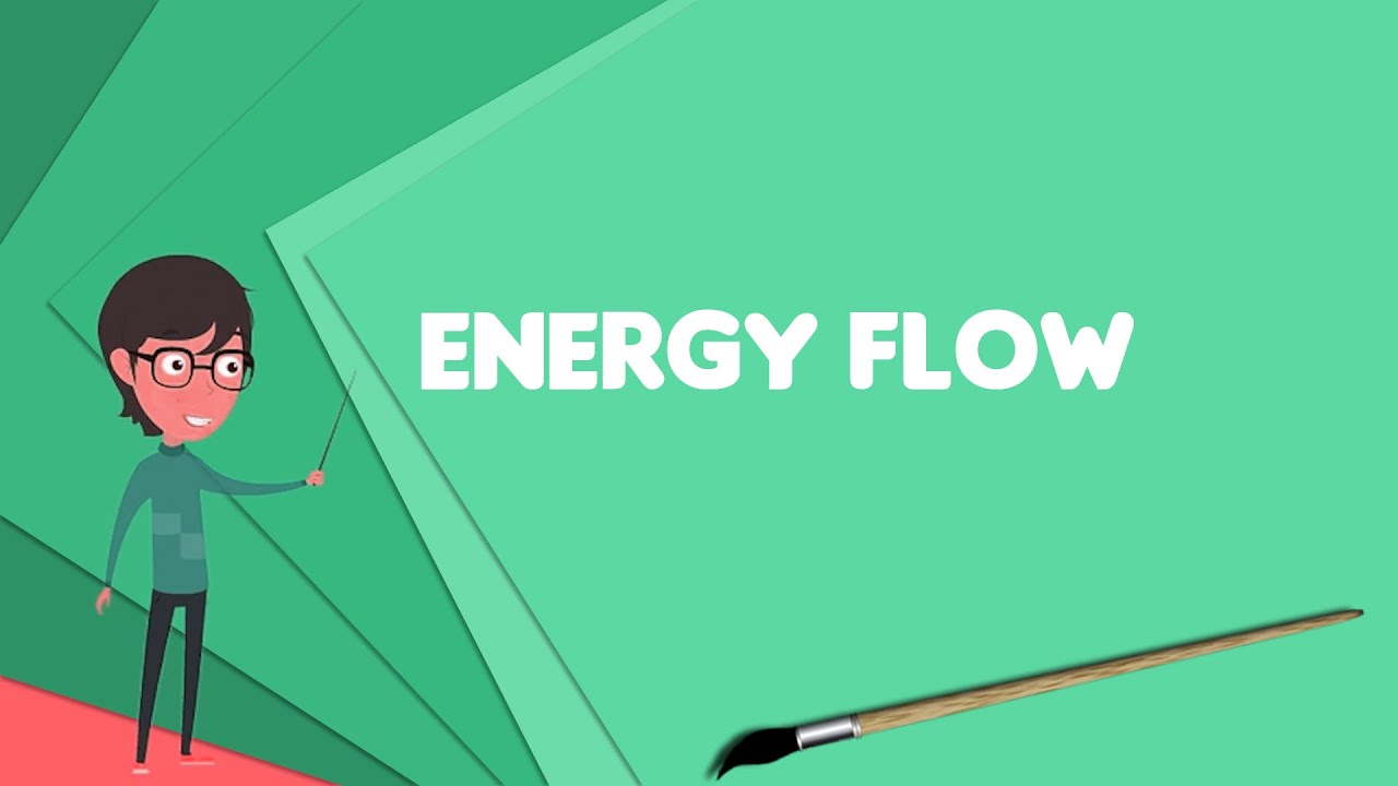 What is Energy flow (ecology)?, Explain Energy flow (ecology), Define ...