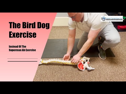 The Bird Dog Exercise Instead of the Superman Ab Exercise - YouTube