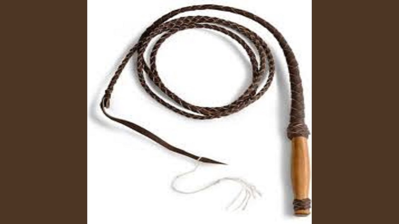 The Whip (Limited Short Cut) - YouTube