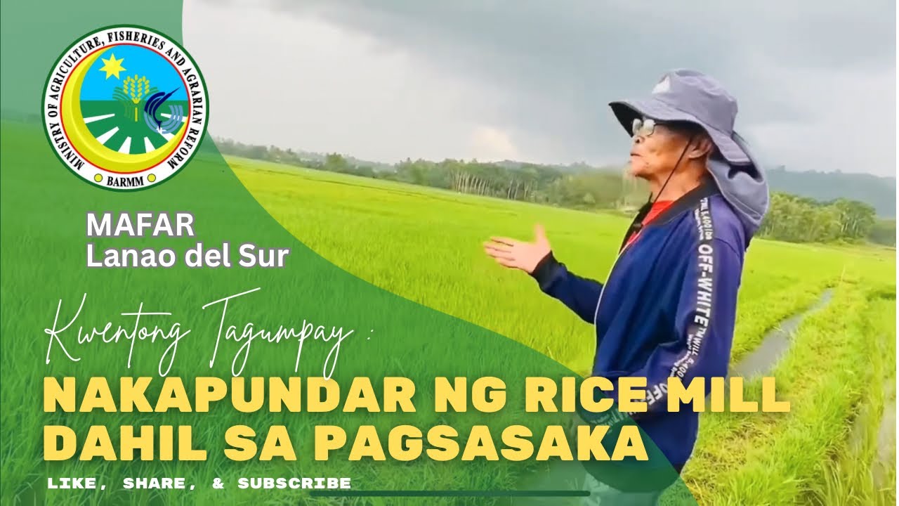 Kwentong Tagumpay: Isang Magsasaka mula sa Masiu, Nakapundar ng Rice ...