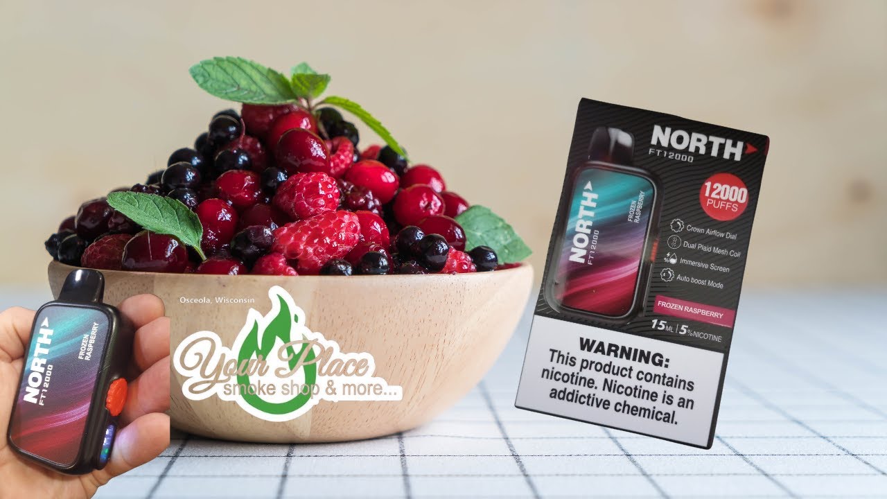 🚂 Puff Like a King! 👑 North FT12000 Vape Review – Frozen Raspberry ...