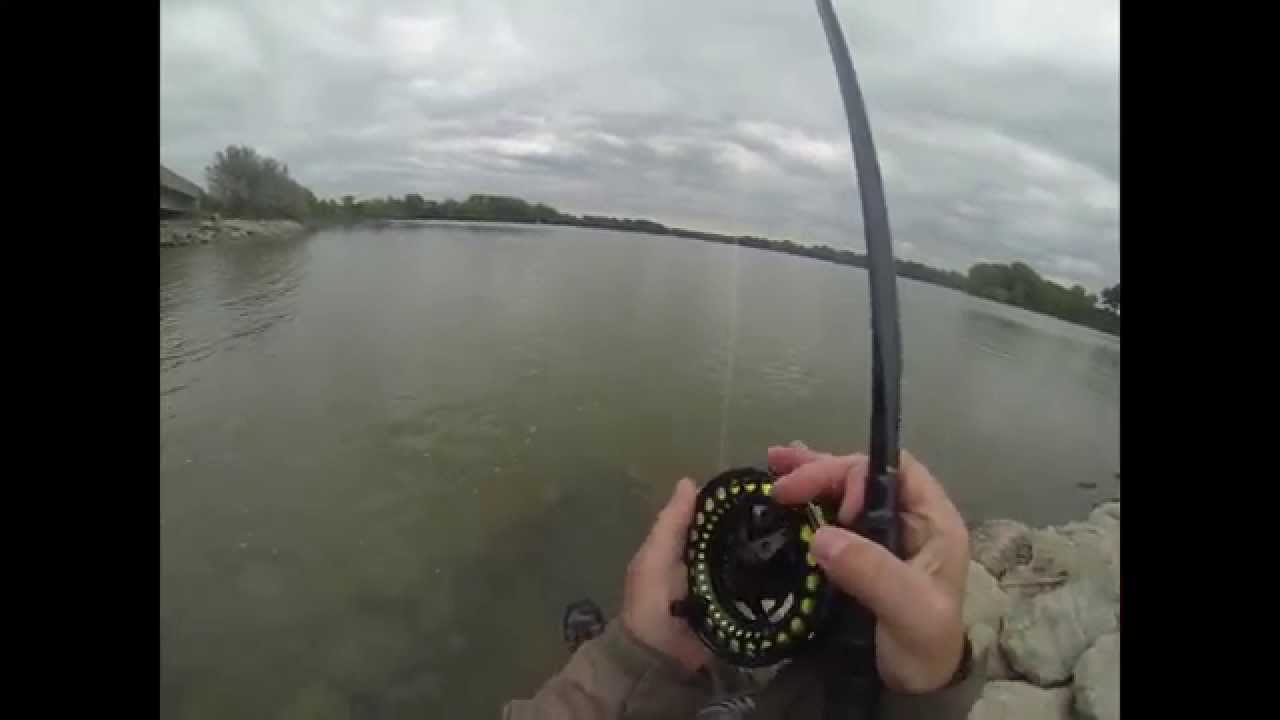 Quiver Tipping for Carp on the Centerpin - YouTube