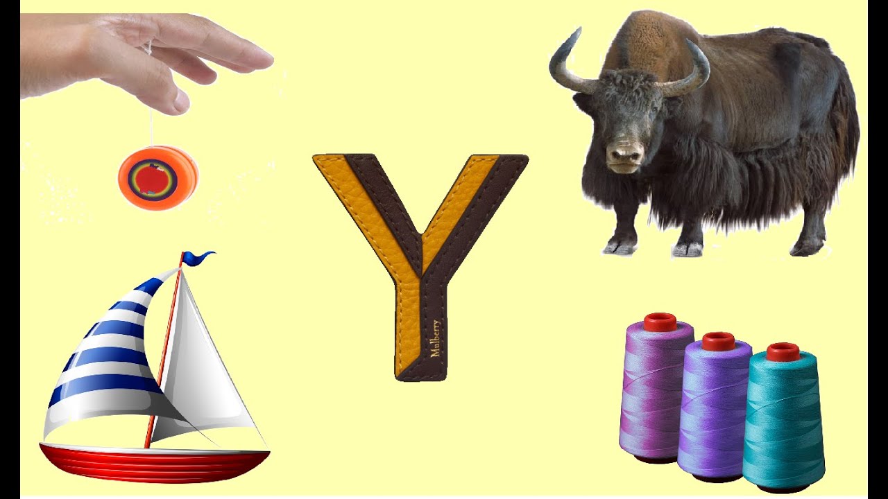 Alphabet Y with phonics and 7 animated objects ! - YouTube