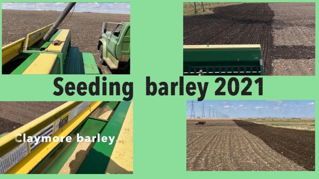Seeding barley 2021. - YouTube