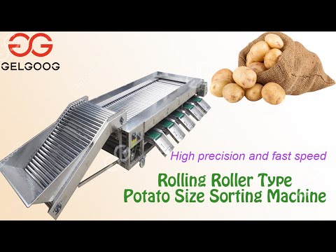 Rolling Roller Type Potato Size Sorting Machine Automatic Potato Grader ...