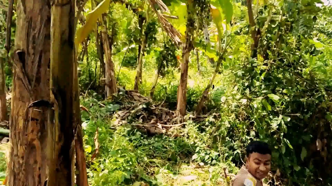 Jahuta - ඊයා බං - YouTube