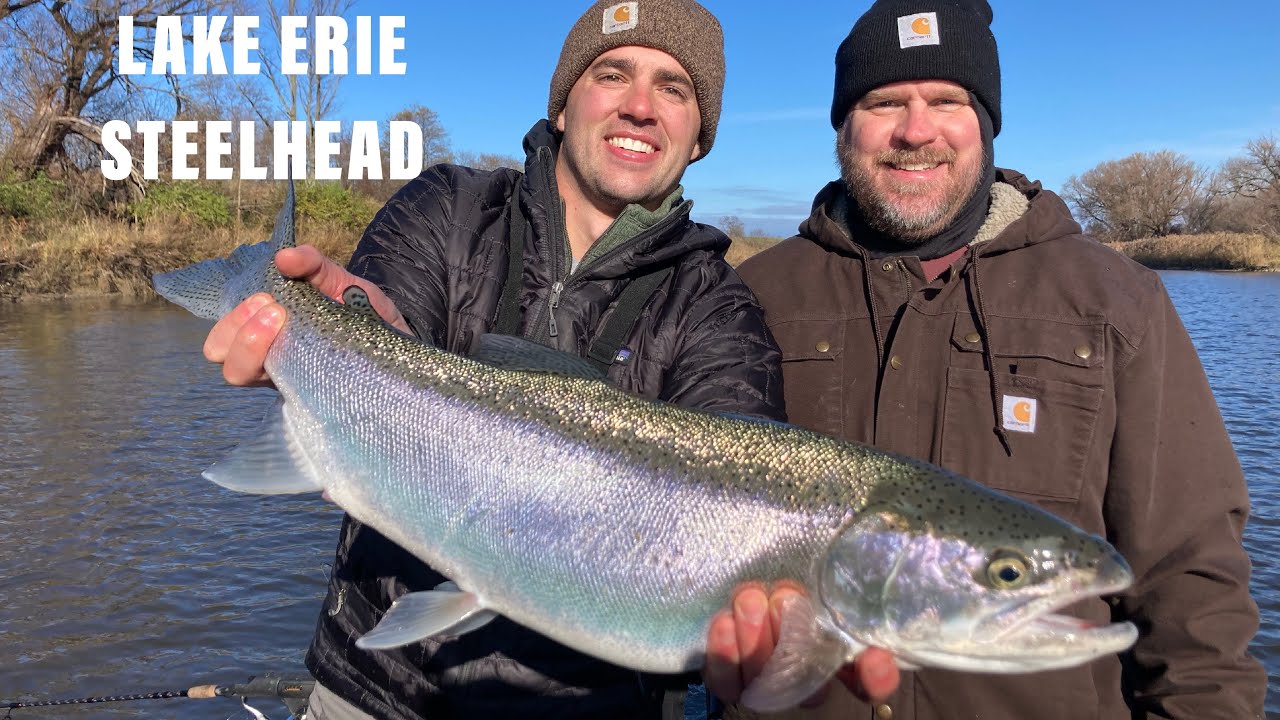 Catching BIG Lake Erie Steelhead on the Grand River, Ohio with 2 ...