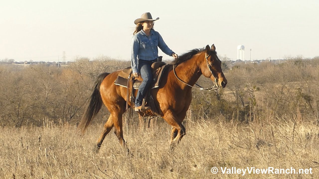 Shane - trail riding! - ValleyViewRanch.net - YouTube