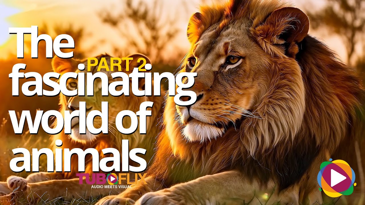 The Fascinating World of Animals – Part 2 🐾 - YouTube