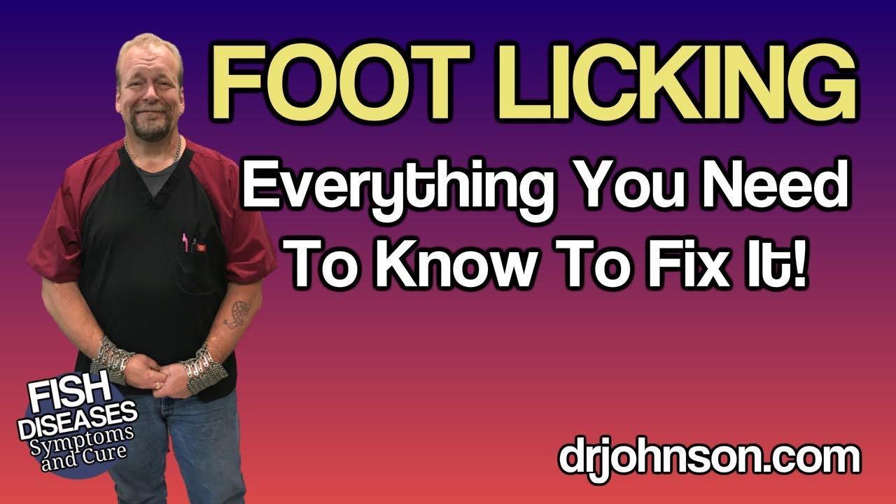 Foot licking atopic foot chewing 2019 - YouTube